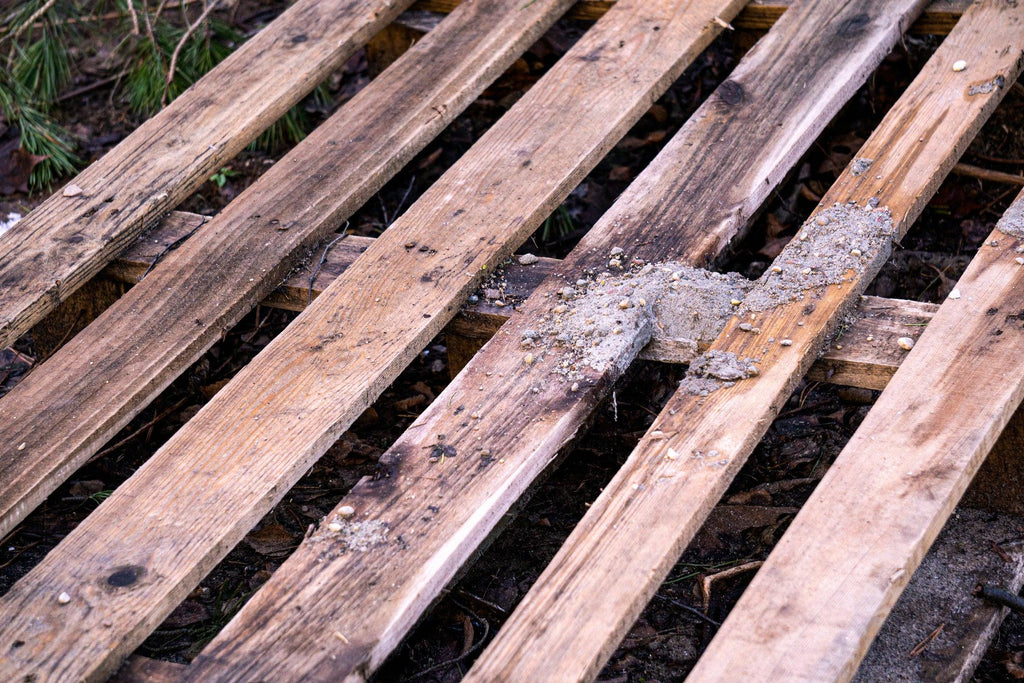 Do Pallets Rot Easily? – Mini Pallets Australia